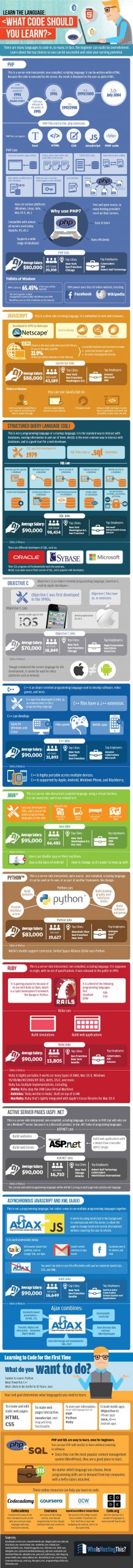 Programming Language Comparison Which One Is Best To Learn And Why Infographic